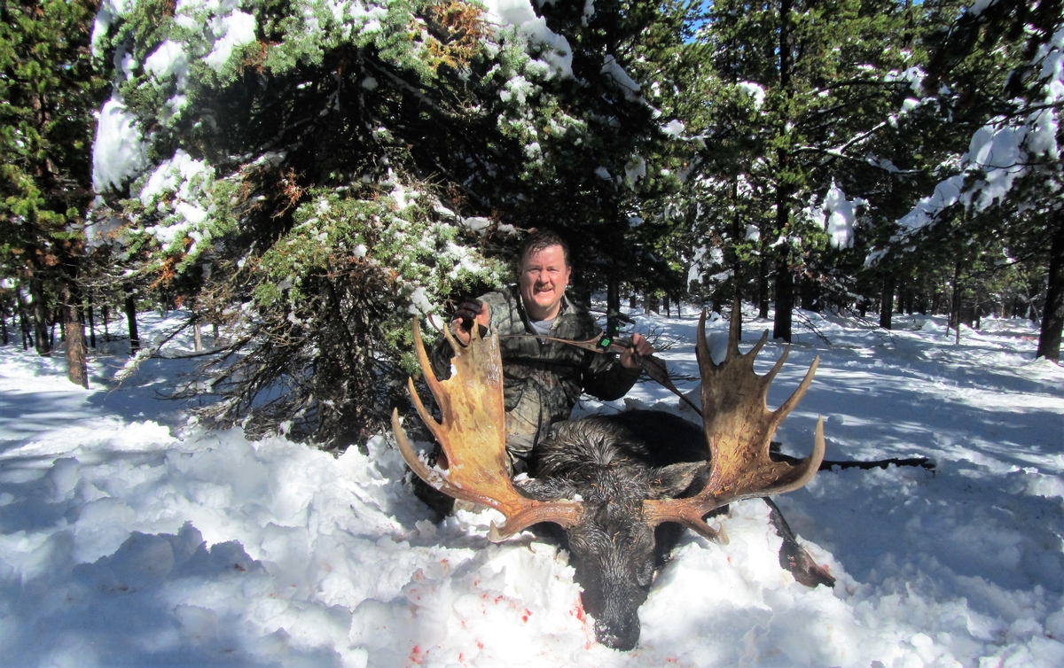 Shiras Moose Hunting Wyoming | Wyoming Moose Hunting Outfitters Unit 1